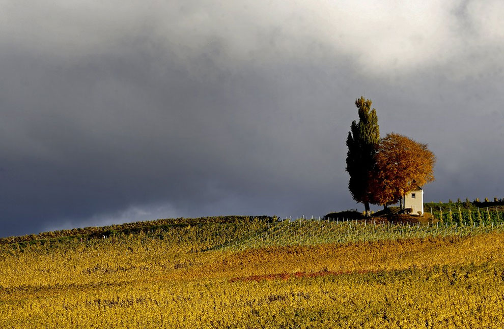 11 » Design You Trust — Design Daily Since 2007