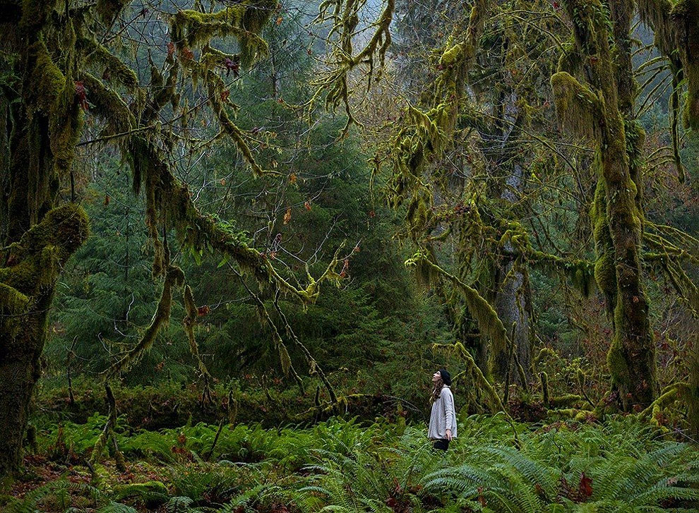 20 Perfect Photographs that Reveal the True Beauty of Our World in All ...