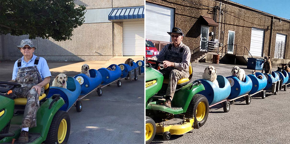 80-Year-Old Man Builds A Dog Train To Take Rescued Stray Dogs On ...