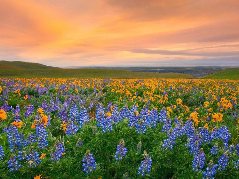 20 Places Where Nature Went Crazy With Colour » Design You Trust ...