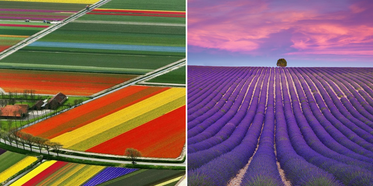 20 Places Where Nature Went Crazy With Colour » Design You Trust