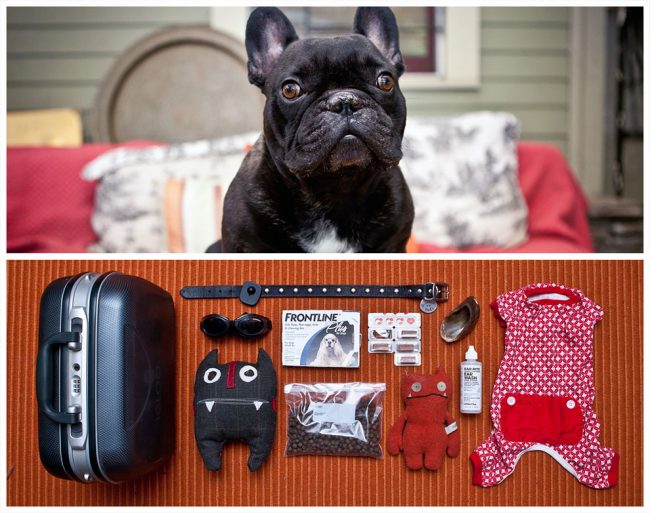 Individuals Photographed With Their Most Treasured Items » Design You ...