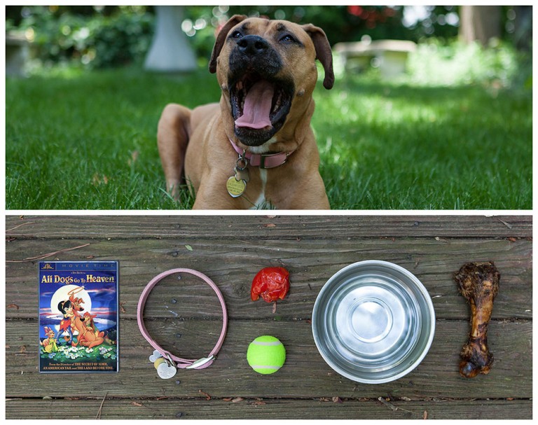 Individuals Photographed With Their Most Treasured Items » Design You ...