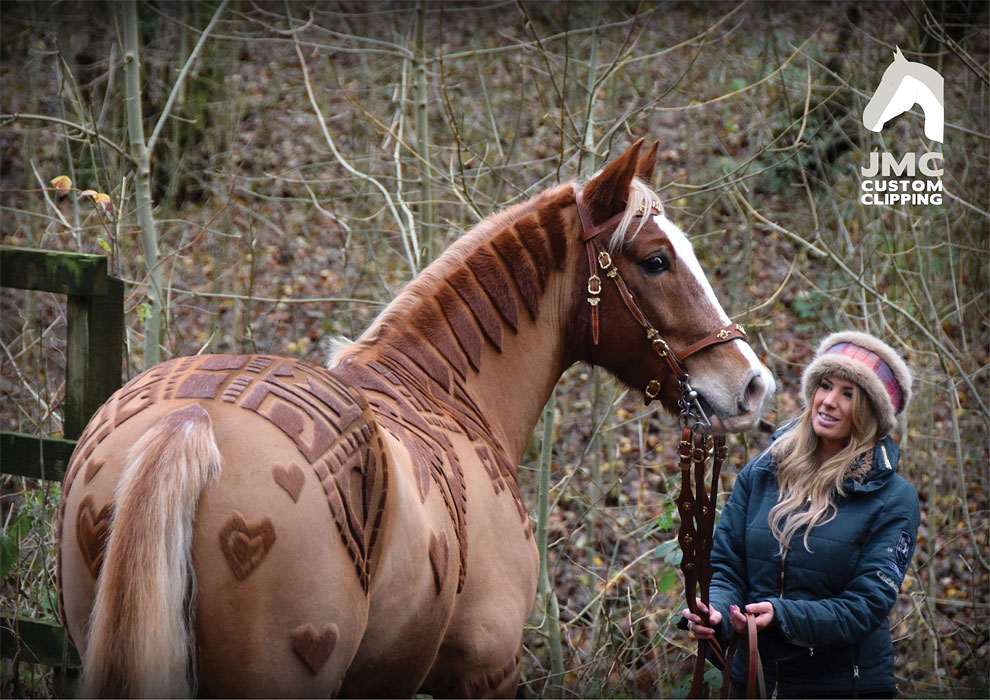 This Creative Hairdo Is All The Rage On The Farm » Design You Trust ...