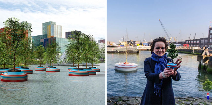 A Floating Forest Is Being Installed In The City Of Rotterdam » Design ...
