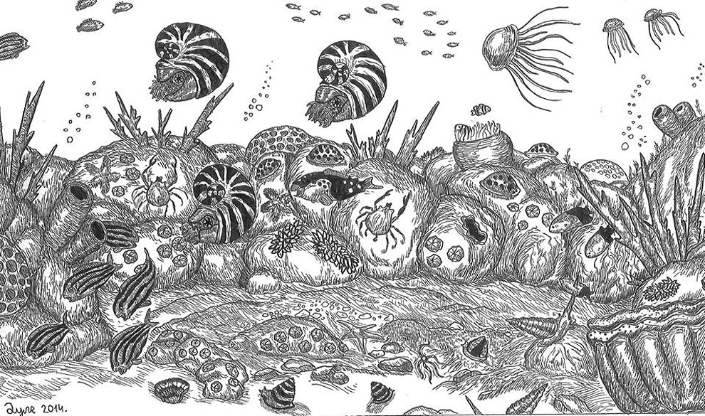 Child Prodigy Aged 13 Creates The Most Amazing Nature-Inspired Drawings ...