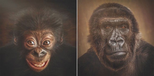 These Portraits Reveal The Incredibly Humanlike Expressions Of A ...