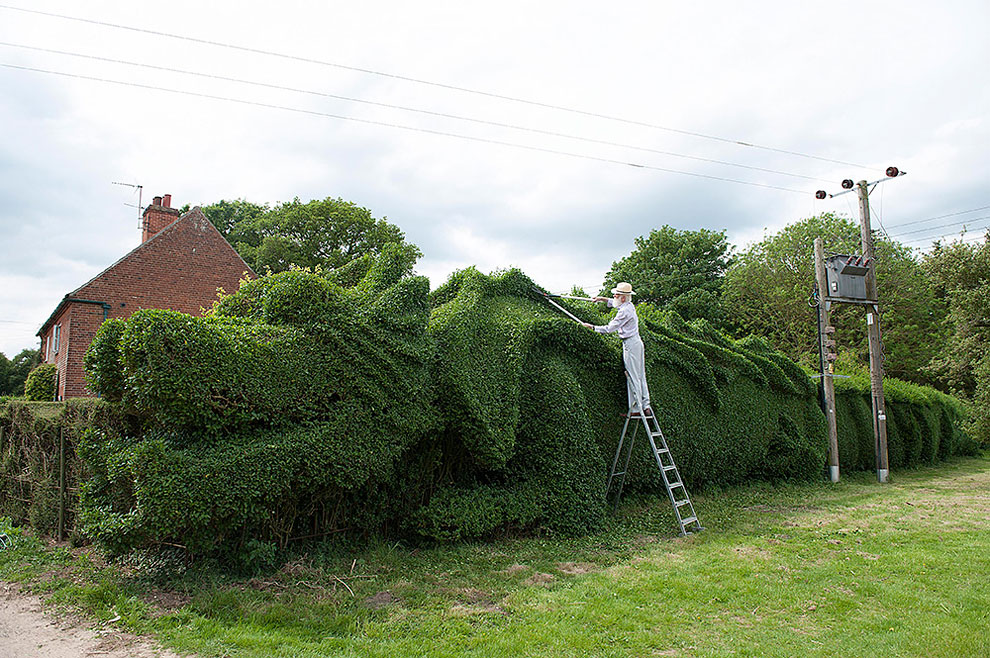 This Old Man Spent 13 Years Growing A Giant Dragon In His Yard » Design ...
