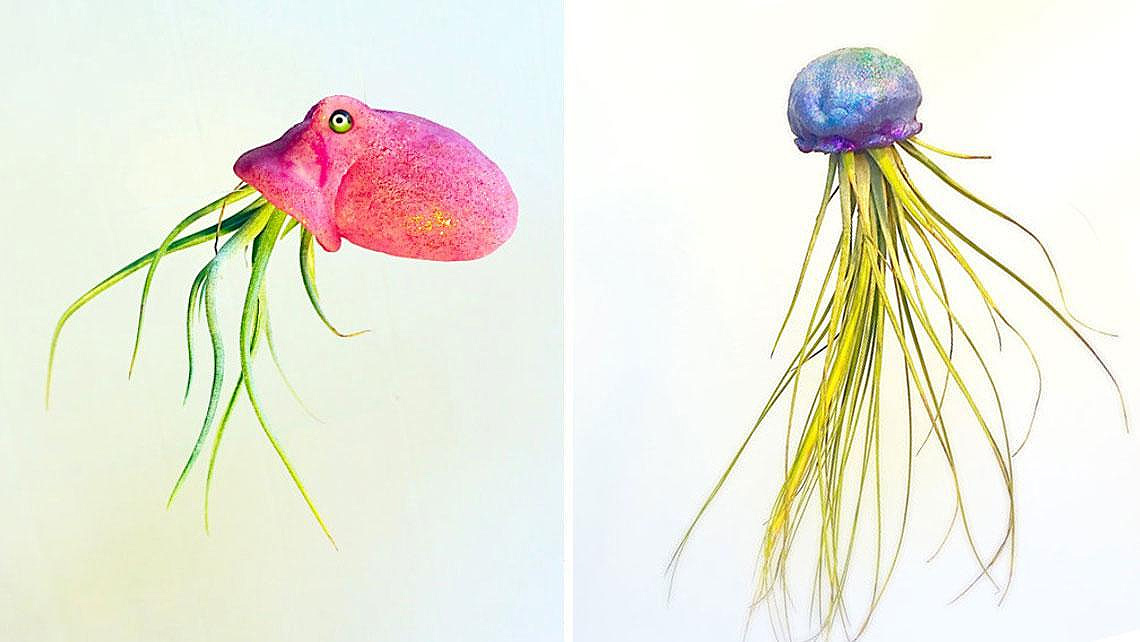Jellyfish Plants Transform Your Room Into A Underwater Wonderland ...
