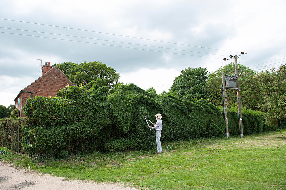 This Old Man Spent 13 Years Growing A Giant Dragon In His Yard » Design ...