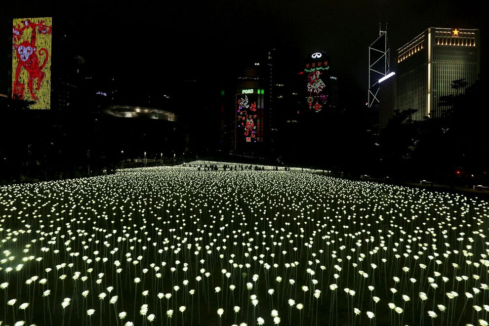 25,000 White Roses Made Of LED Lights For Valentine’s Day » Design You ...