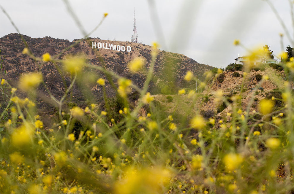 Photographer Captures The Laid-Back Cool Of California And Its People ...