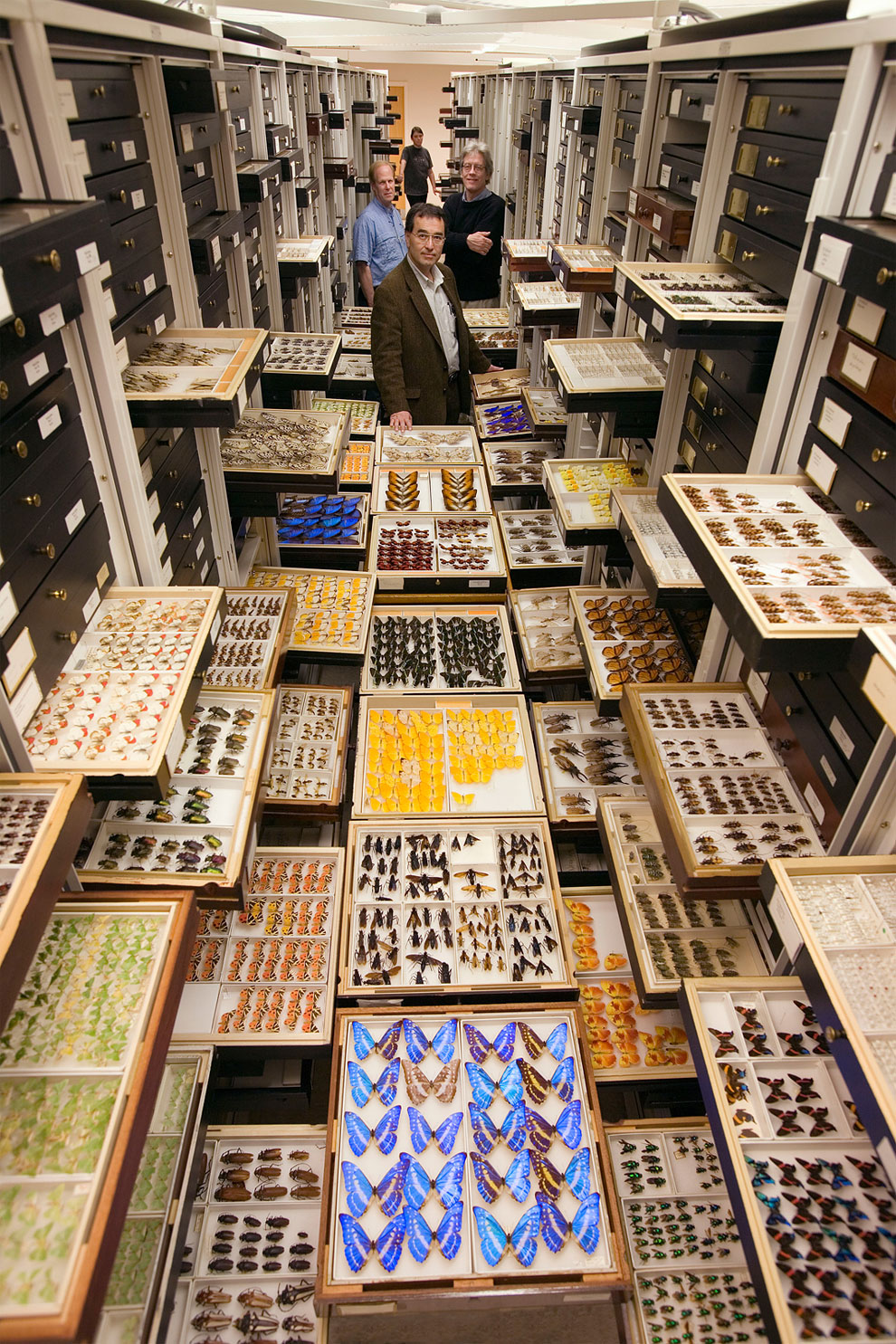 Rare Behind-The-Scenes Look At The Vast Collection Of The Smithsonian’s ...