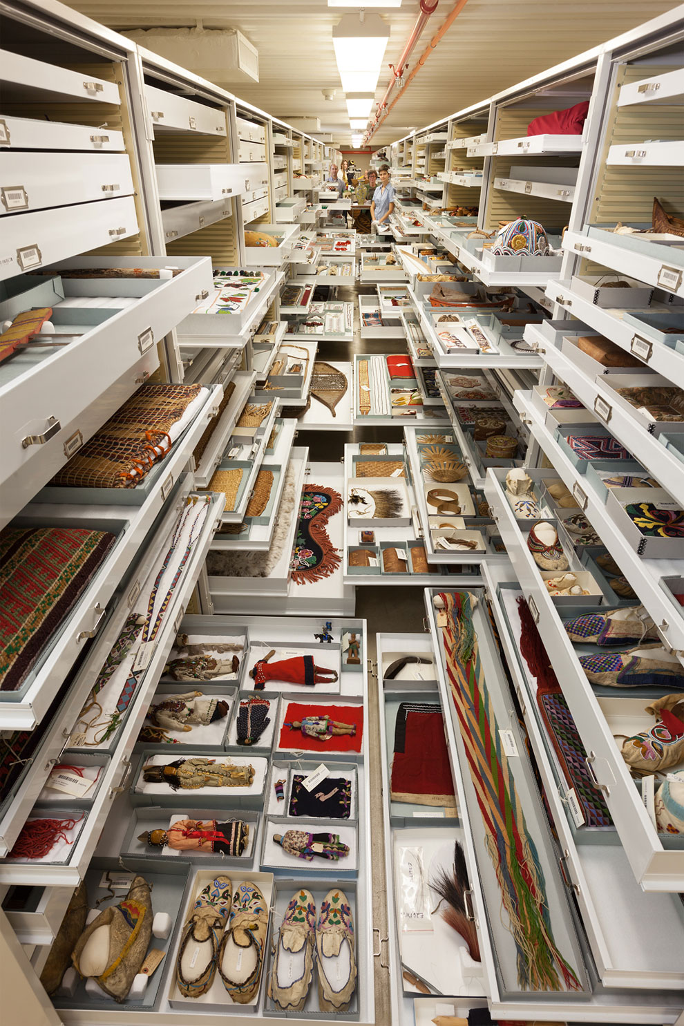 Rare Behind-The-Scenes Look At The Vast Collection Of The Smithsonian’s ...