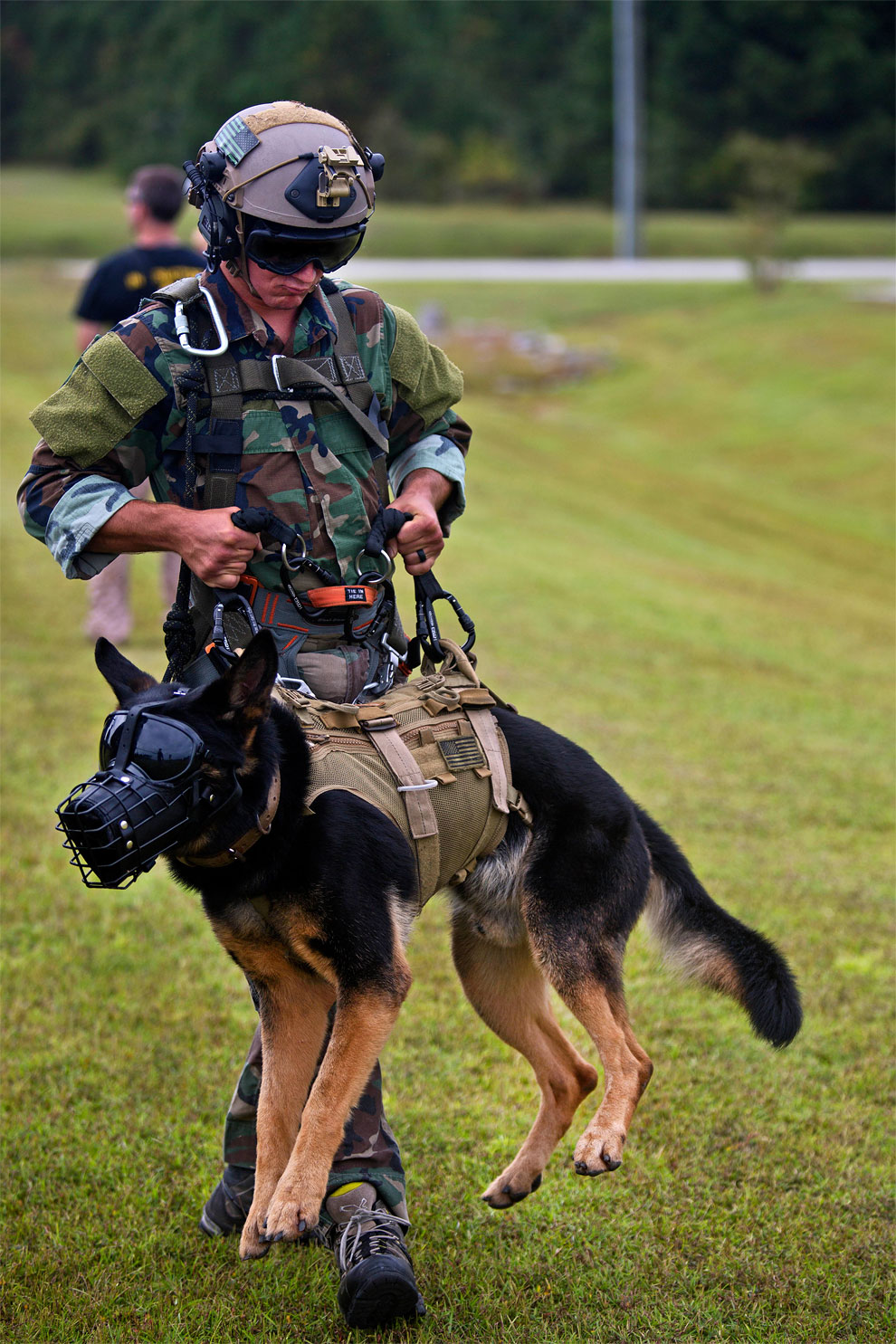 Dogs At Work » Design You Trust — Design Daily Since 2007