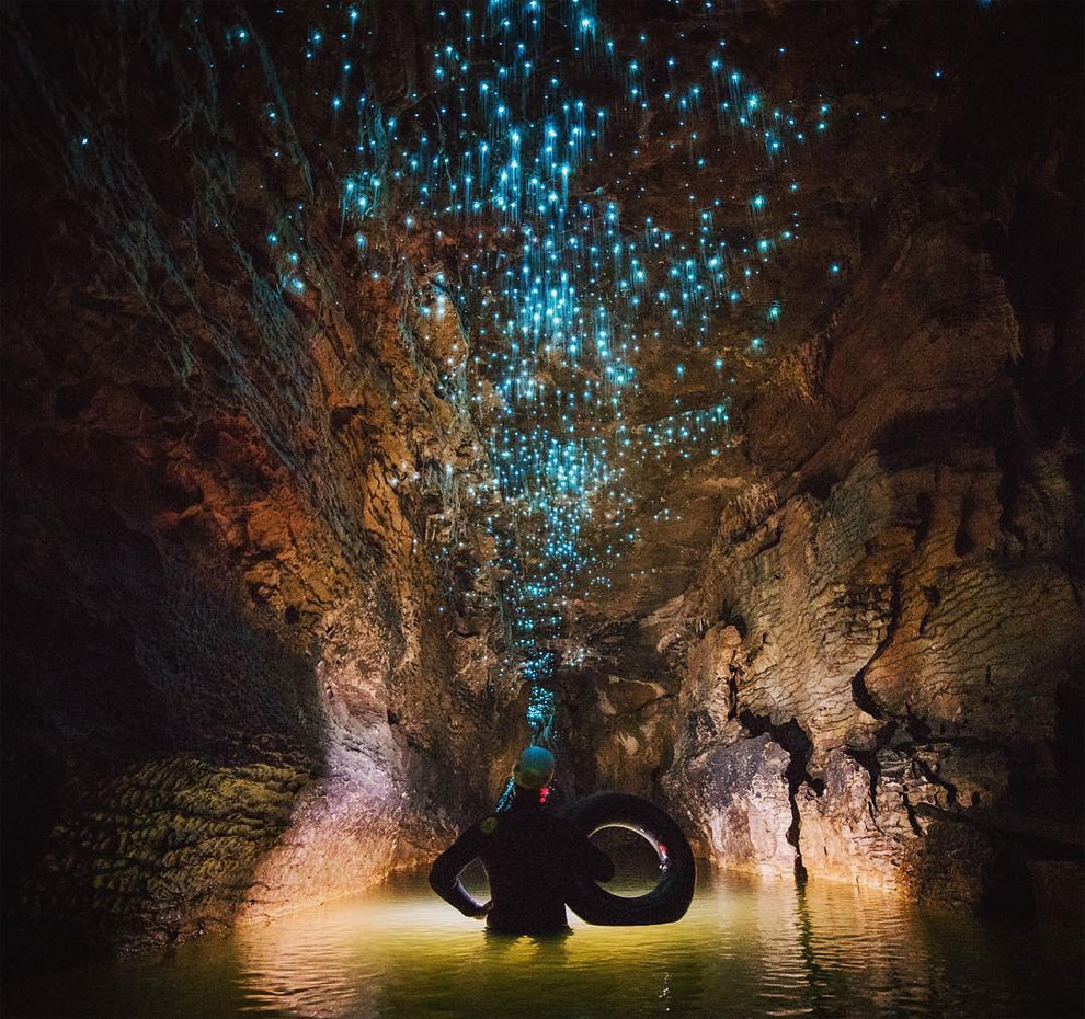Glow Worms Turn This New Zealand Cave Into Starry Night » Design You ...