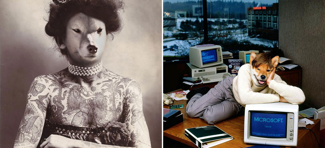 Zelda The Shiba Inu Digitally Added Into Popular Photographs And Movie ...