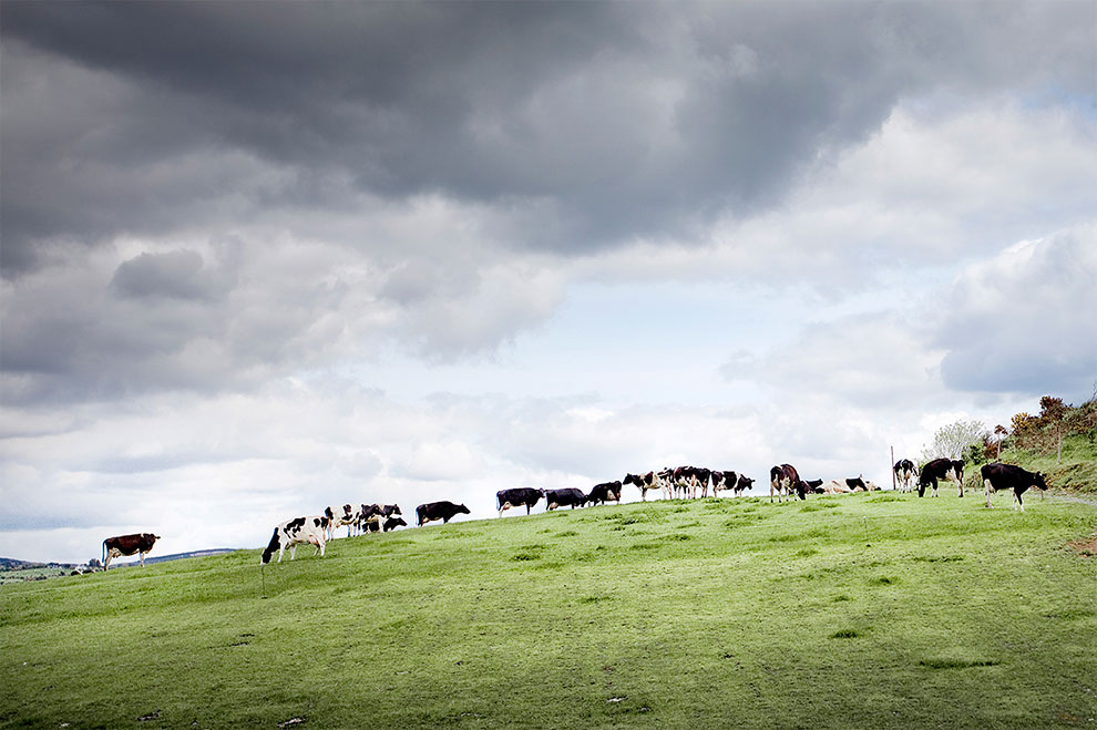 Photographer Captures Ireland’s Essence In Gorgeous Green Sceneries ...