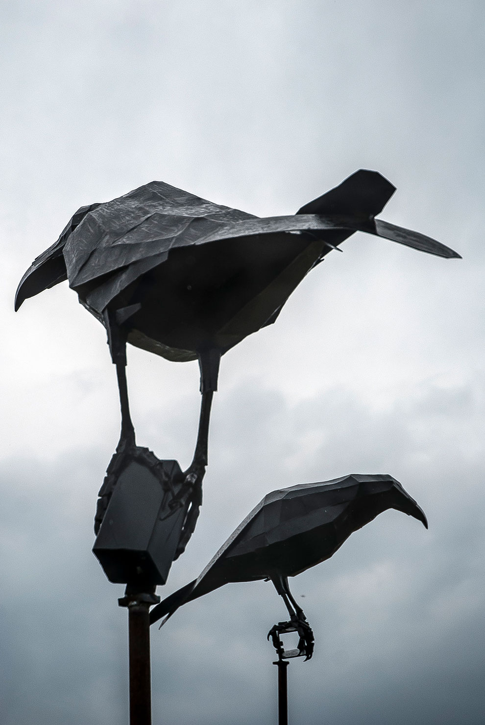Welded And Painted Black Steel Ravens By Ludvig Ödman » Design You ...