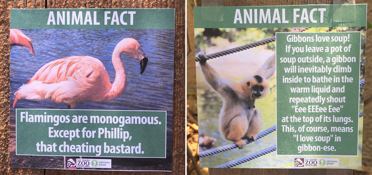 Fake Animal Fact Posters Posted At The Los Angeles Zoo Are Priceless ...