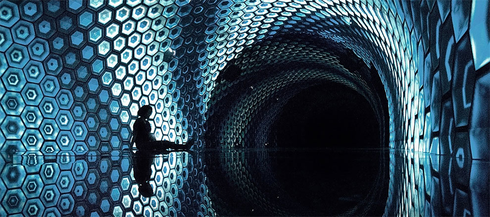 Tundra’s Immersive Light Installation Puts Visitors Side-By-Side A ...