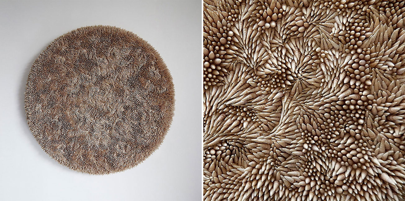 Unbelievable Shell Sculptures By Rowan Mersh » Design You Trust ...