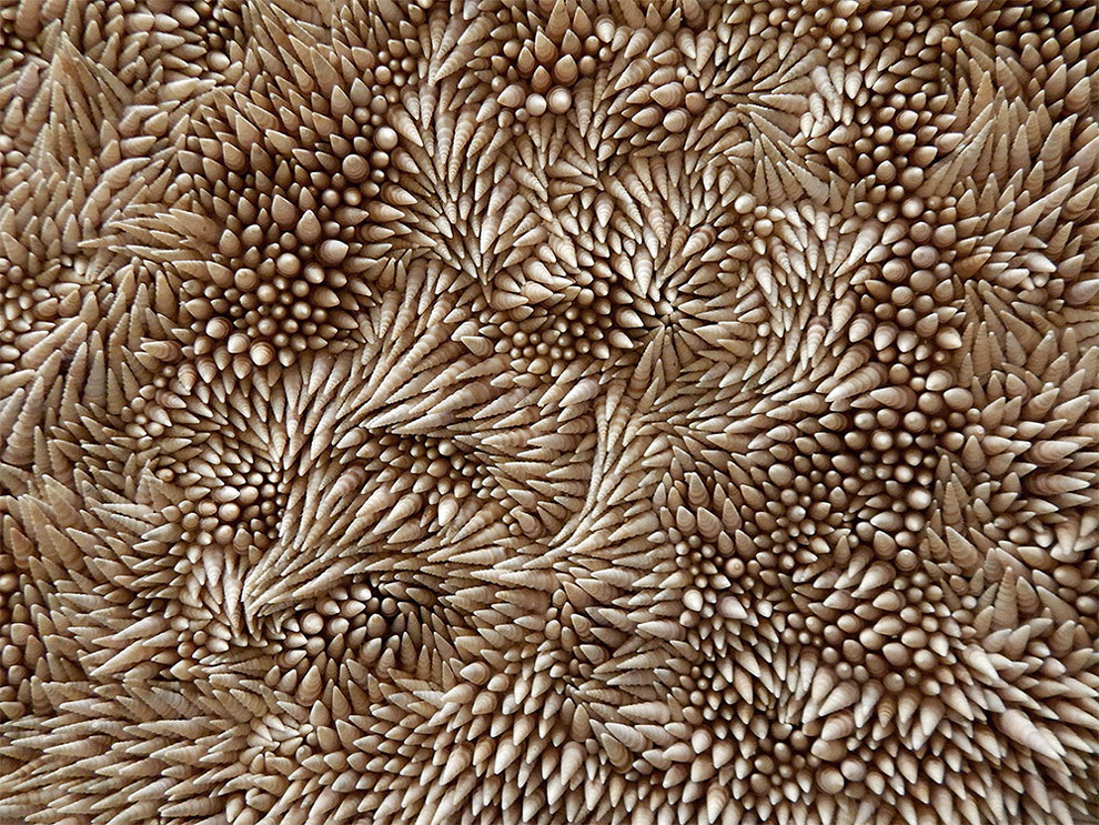 Unbelievable Shell Sculptures By Rowan Mersh » Design You Trust ...