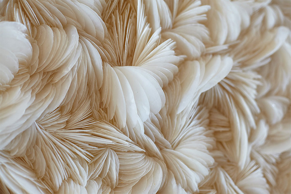 Unbelievable Shell Sculptures By Rowan Mersh » Design You Trust ...