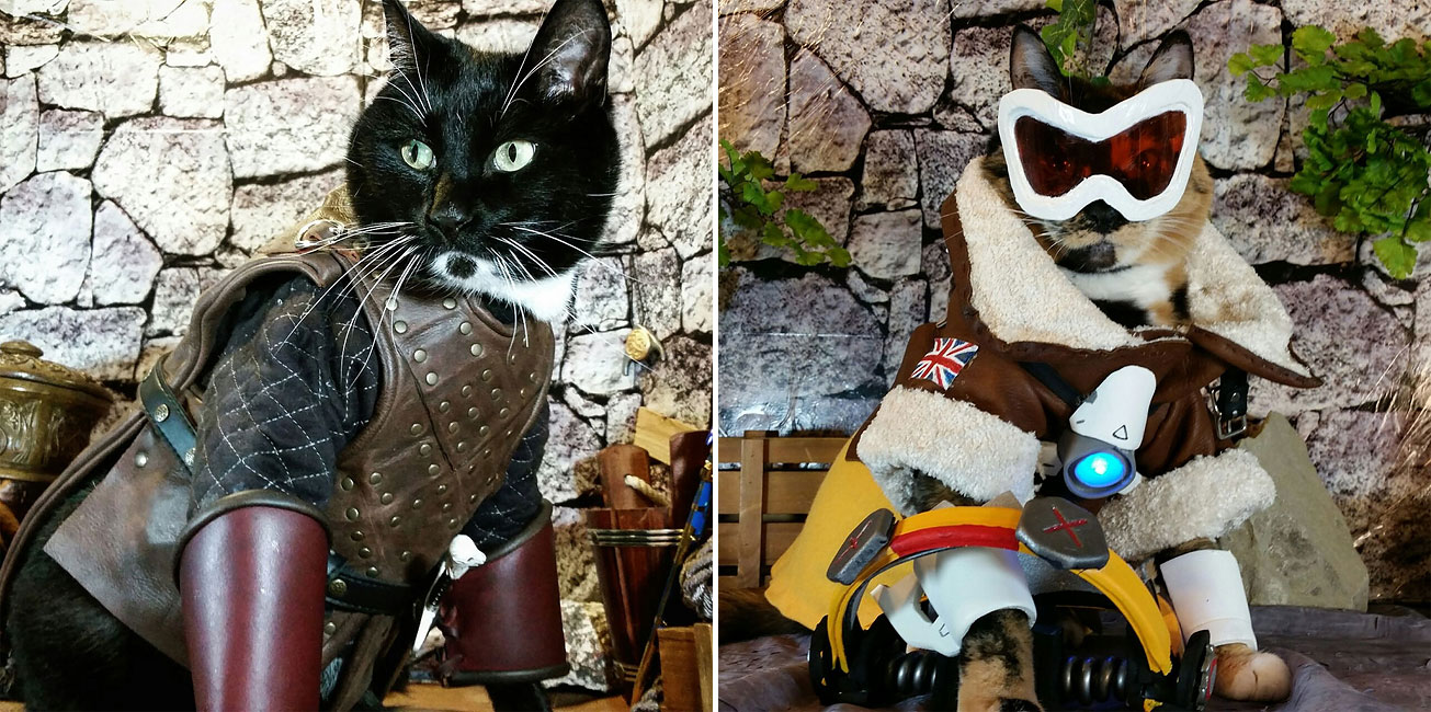 Cosplay Cats Are Taking Over The Internet » Design You Trust — Design ...