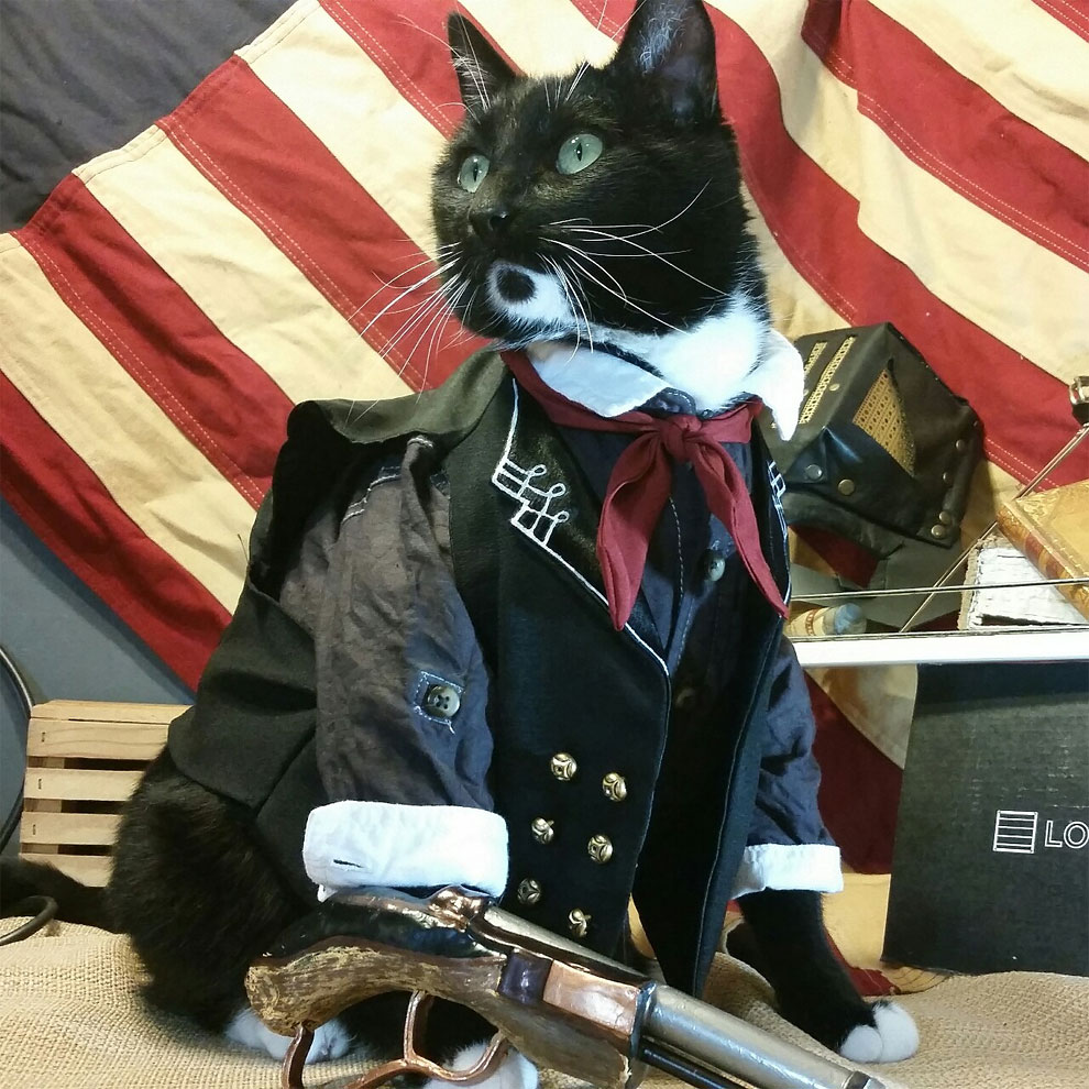 Cosplay Cats Are Taking Over The Internet » Design You Trust — Design ...