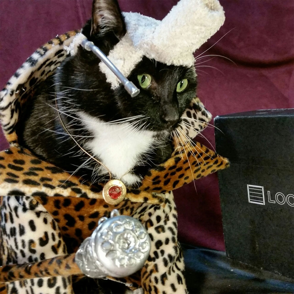Cosplay Cats Are Taking Over The Internet » Design You Trust — Design ...