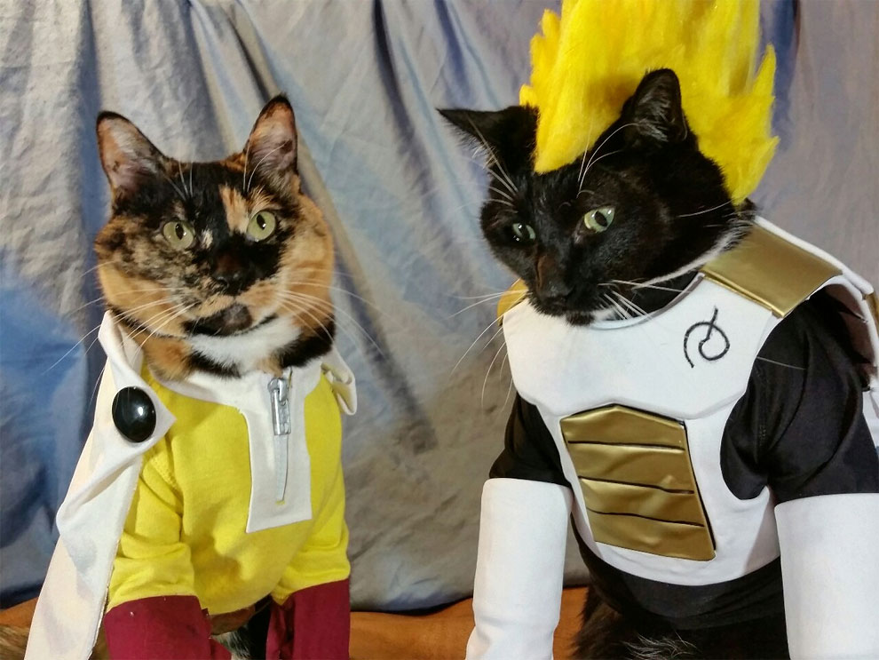 Cosplay Cats Are Taking Over The Internet » Design You Trust — Design ...