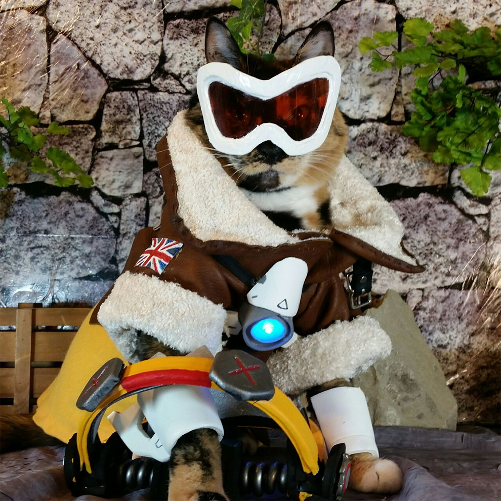 Cosplay Cats Are Taking Over The Internet » Design You Trust — Design ...