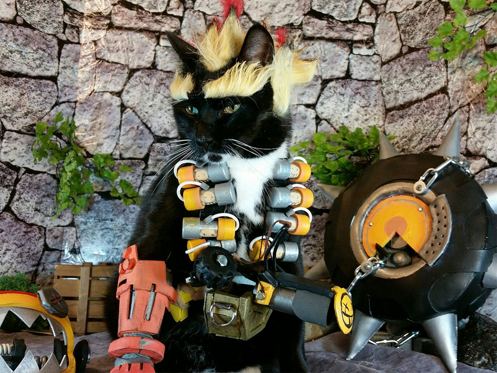 Cosplay Cats Are Taking Over The Internet » Design You Trust — Design ...