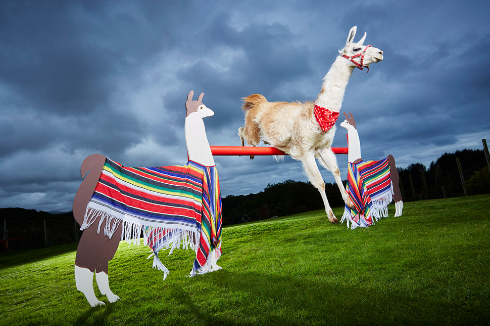 Some Entries For The Guinness World Records 2017 » Design You Trust ...