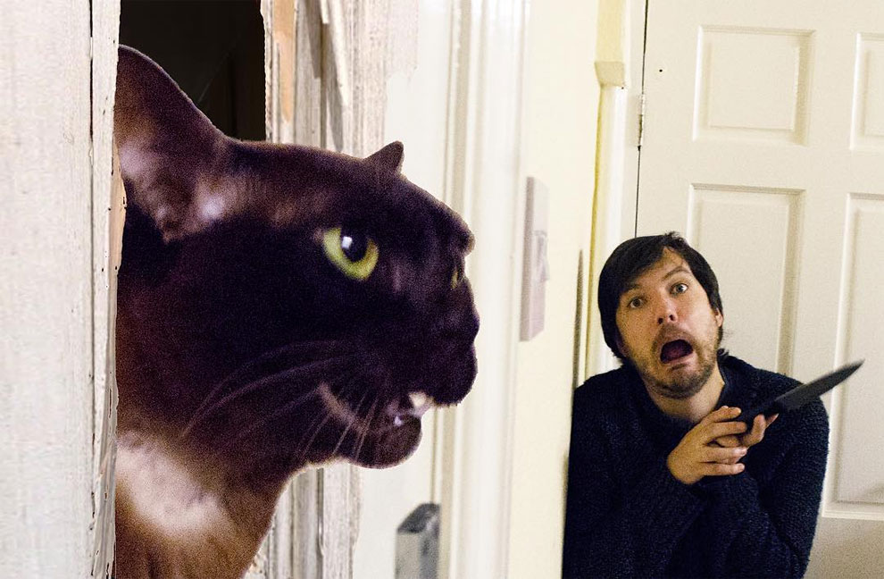 This Man And His Cat Recreate Famous Movie Scenes And It’s Amazing ...