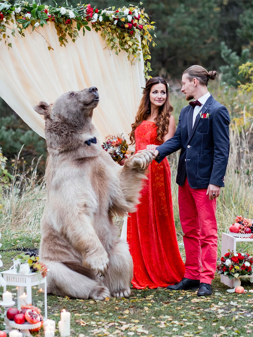 This Couple Invites Brown Bear Along To Their Very Special Ceremony ...