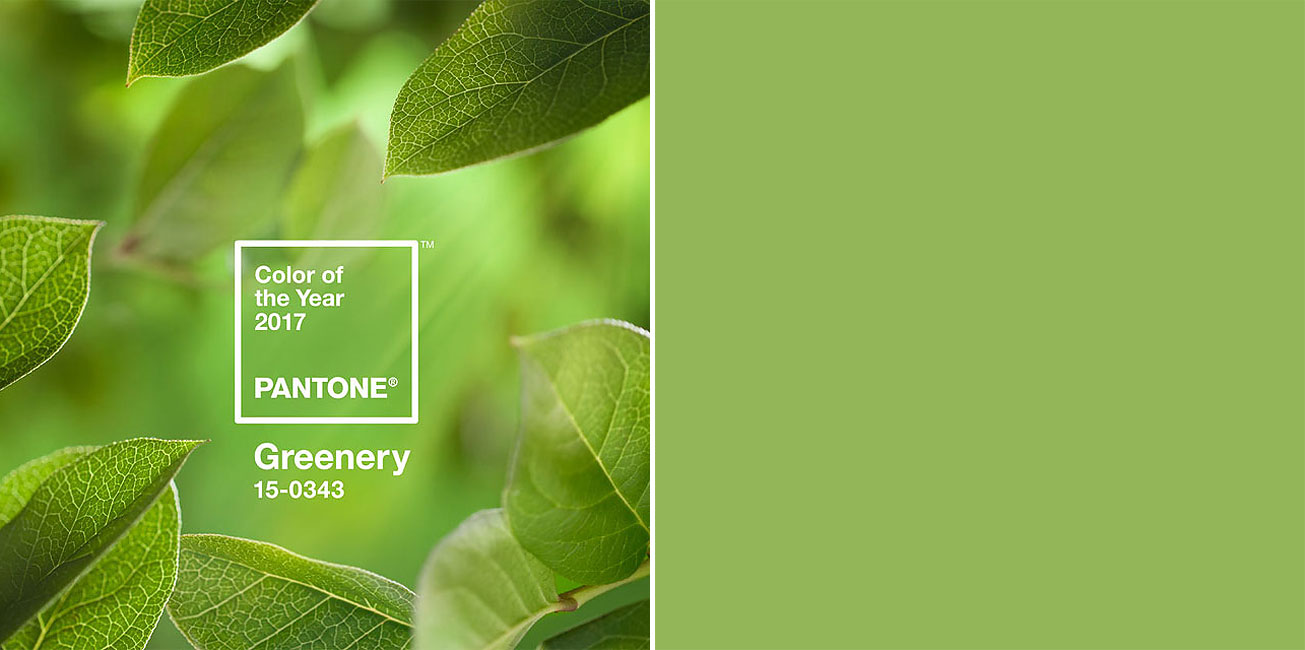2017 Color Of The Year Is Greenery According To PANTONE » Design You ...