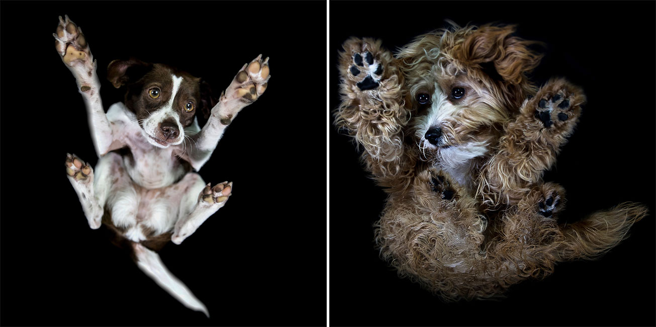 Artist Duo Have Created A Unique Set Of Images From The Underside Of ...