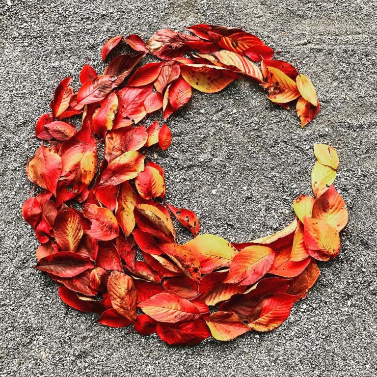 People In Japan Are Turning Vibrant Foliage Into Stunning “Fallen Leaf ...