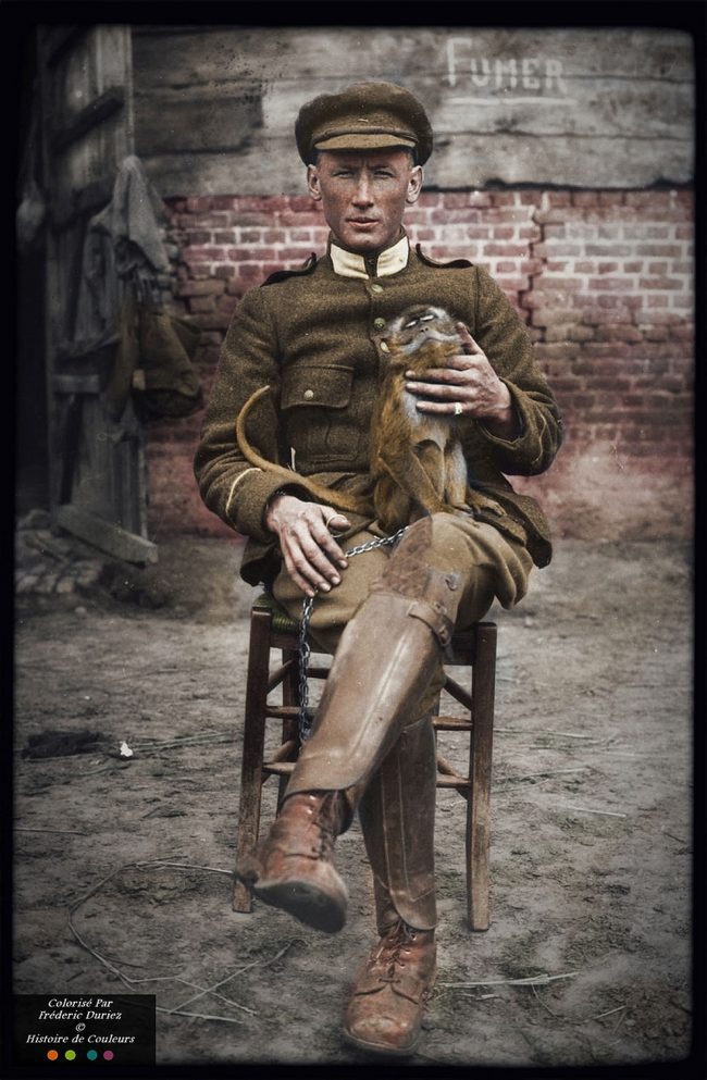 Incredible Colorized Photos Of Soldiers During World War One » Design ...