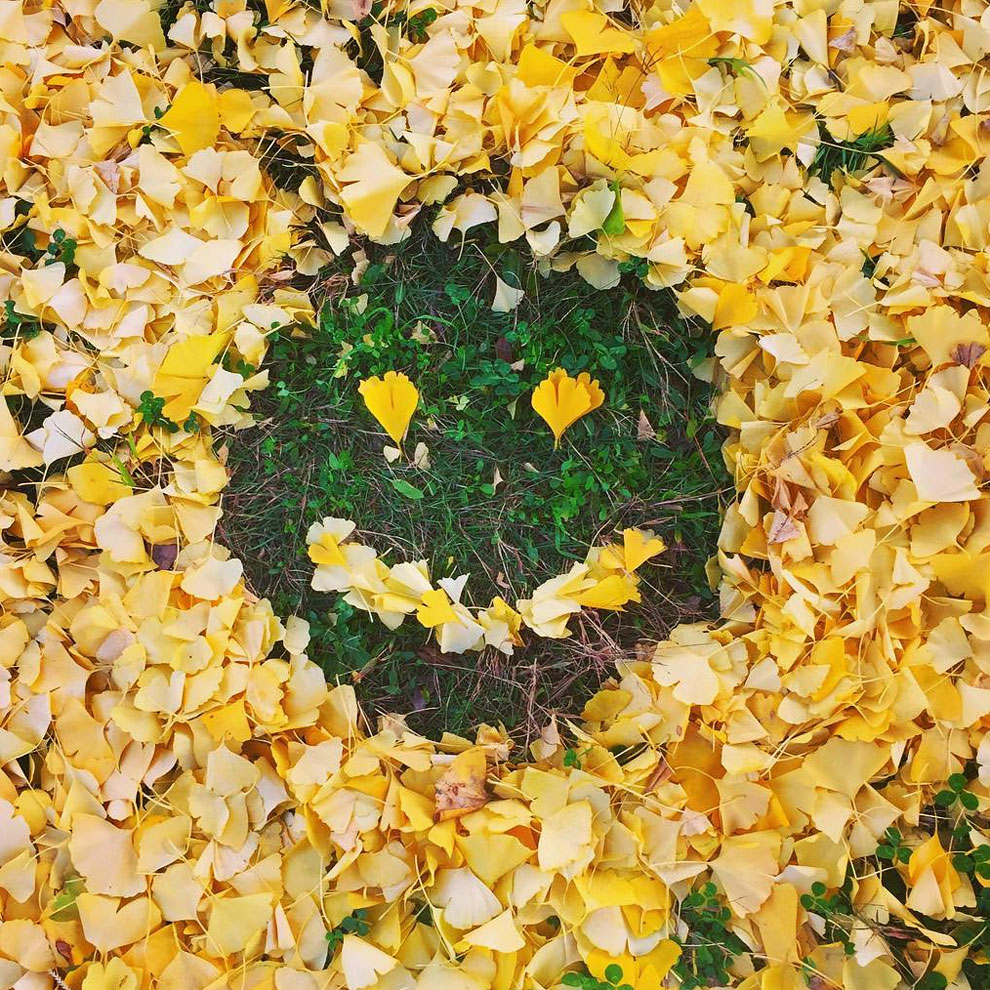 People In Japan Are Turning Vibrant Foliage Into Stunning “Fallen Leaf ...