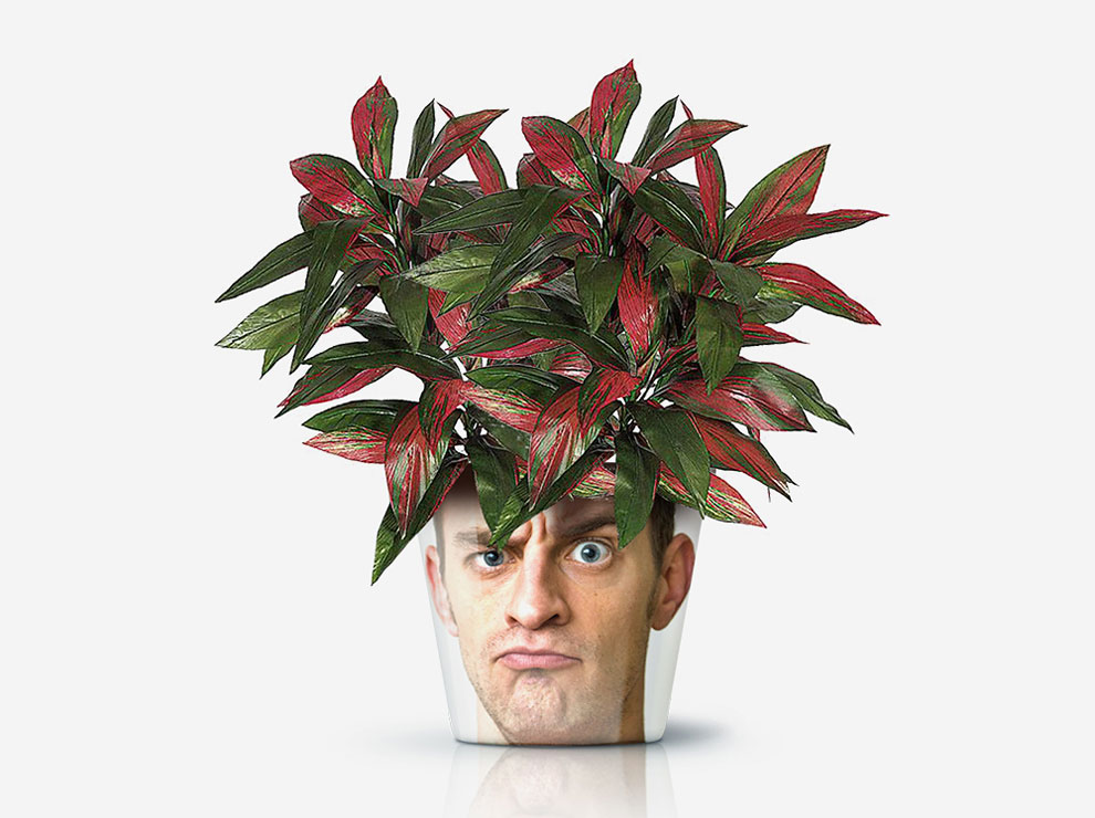 “Facepot” – The Design Concept Of Original Pots For Flowers » Design ...