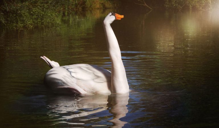 An Artist Brings Animals To Life Using Body Paint And Contorted Models ...