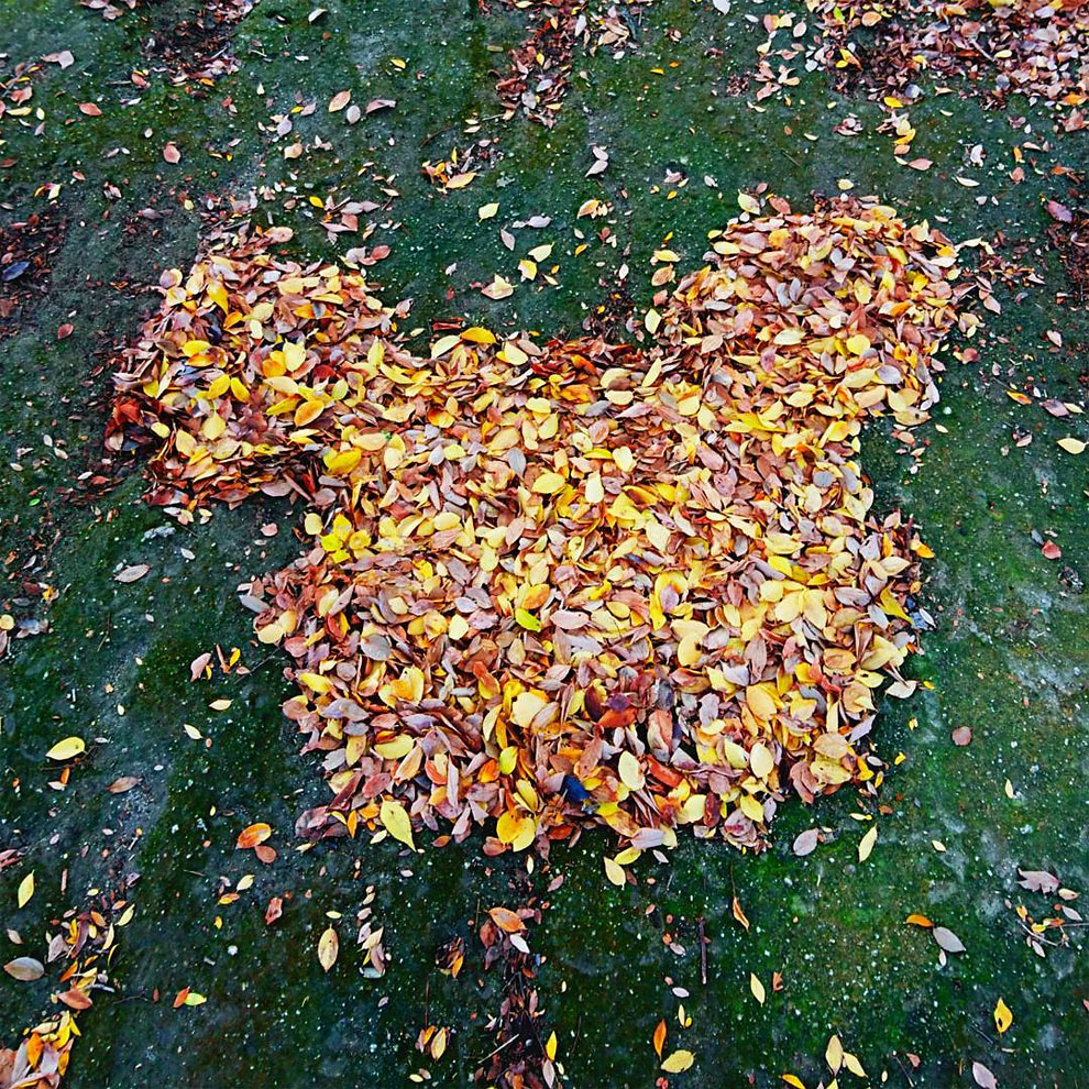 People In Japan Are Turning Vibrant Foliage Into Stunning “Fallen Leaf ...