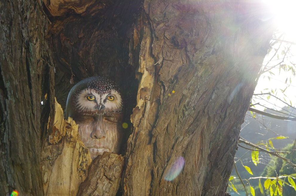 An Artist Brings Animals To Life Using Body Paint And Contorted Models ...