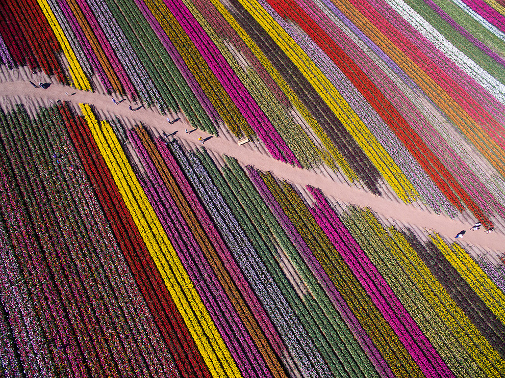 Above And Beyond: The World’s Best Drone Photography 2016 Winners ...