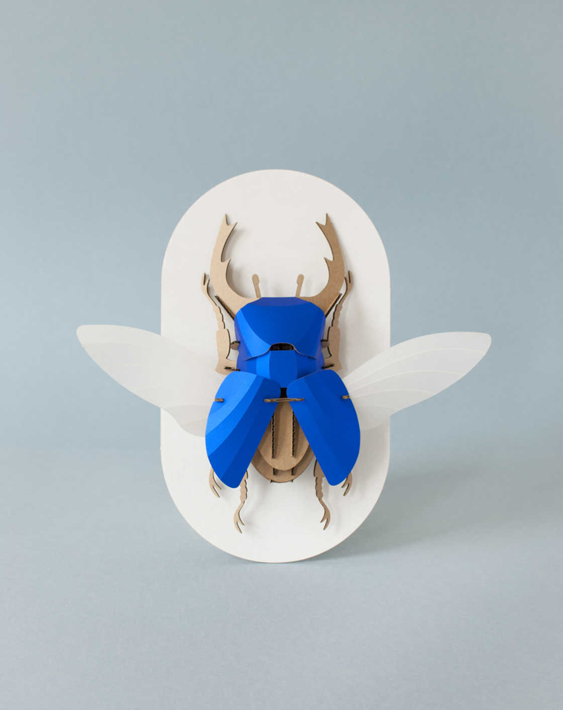 Beautiful Paper Beetle Sculptures To Assemble By Yourself » Design You ...