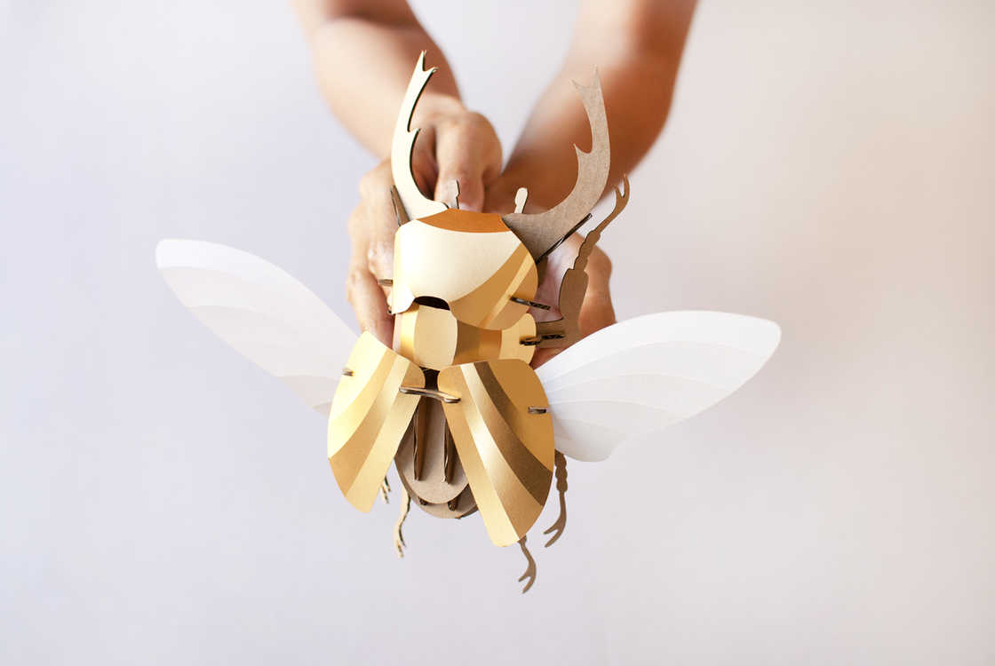 Beautiful Paper Beetle Sculptures To Assemble By Yourself » Design You ...