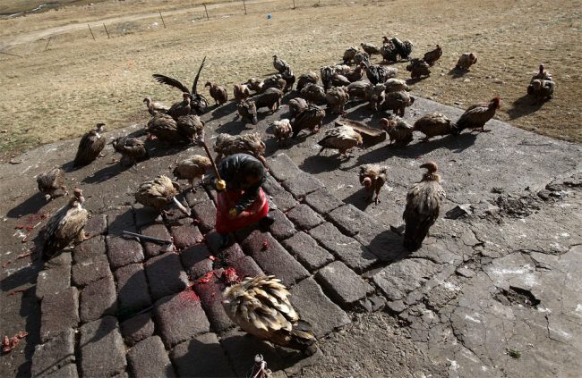 Sky Burial – Tibetans Perform Celestial Burial Ceremony (NSFW) » Design ...